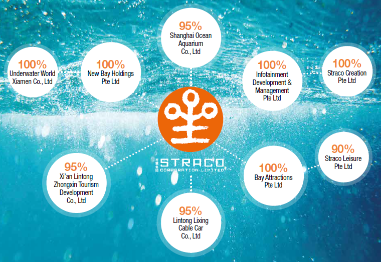 Investor Relations: Corporate Structure